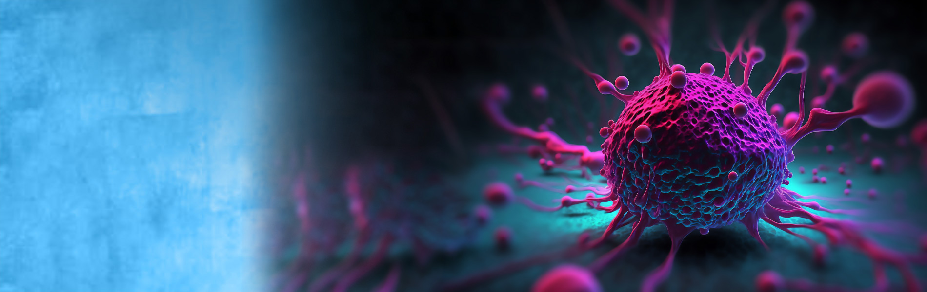Contact – MBQ Pharma