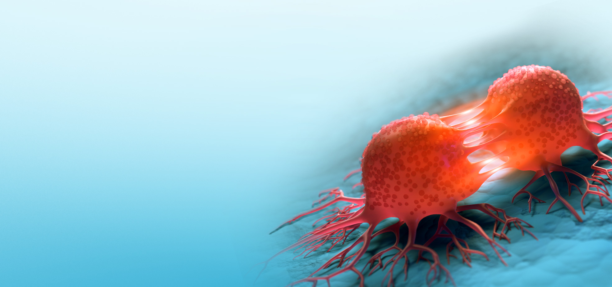 MBQ Pharma – Metastasis-Blocking Cancer Therapies